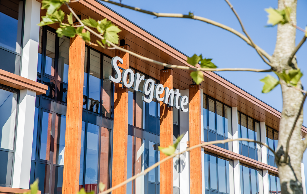 Sorgente 25 jaar! Symposium “Tijd voor Verbinding” op 1 juni 2022 ...